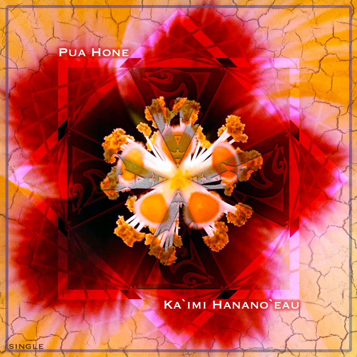 Pua Hone like you have never heard before | Island Rock Musician